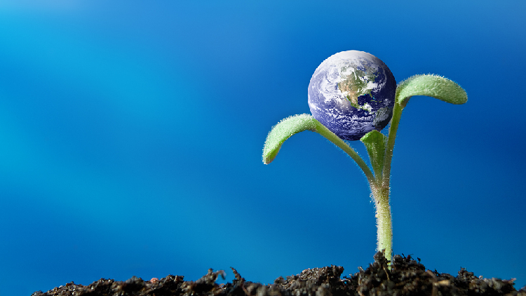 WWF director general: Data in new Living Planet Report 'shocking' - CGTN