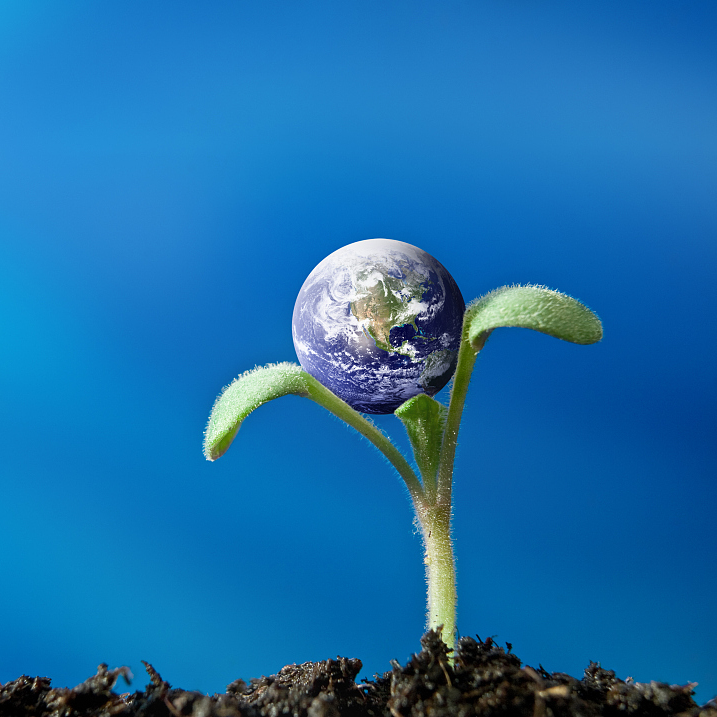 WWF director general: Data in new Living Planet Report 'shocking' - CGTN