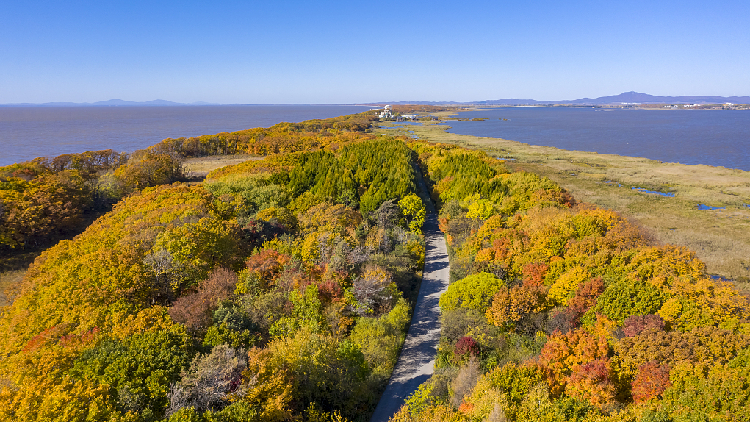 Fall color expands across most parts of China - CGTN