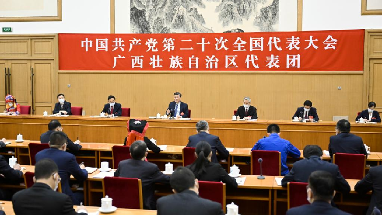 CPC congress: Past decade sees success of CPC's ethnic policies - CGTN