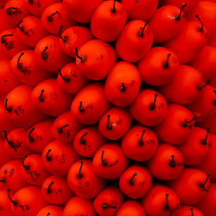 Endangered 'corpse flowers' fruit at China National Botanical Garden - CGTN