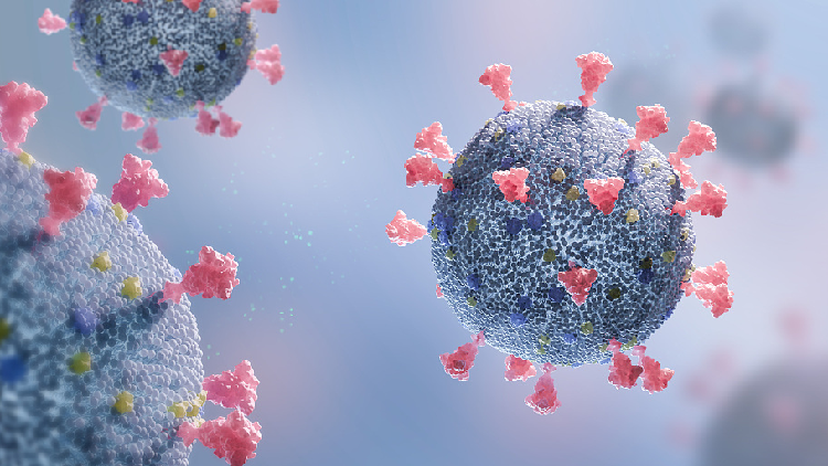 Cases of two variants double in U.S. as Europe warns of rise - CGTN