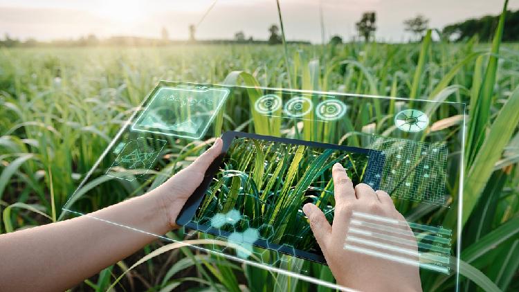 High-tech agriculture provides solutions to ensure food security - CGTN