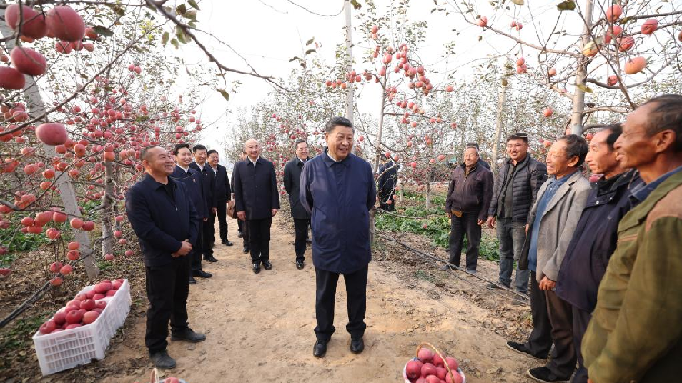 Agricultural and rural modernization essential to China - CGTN