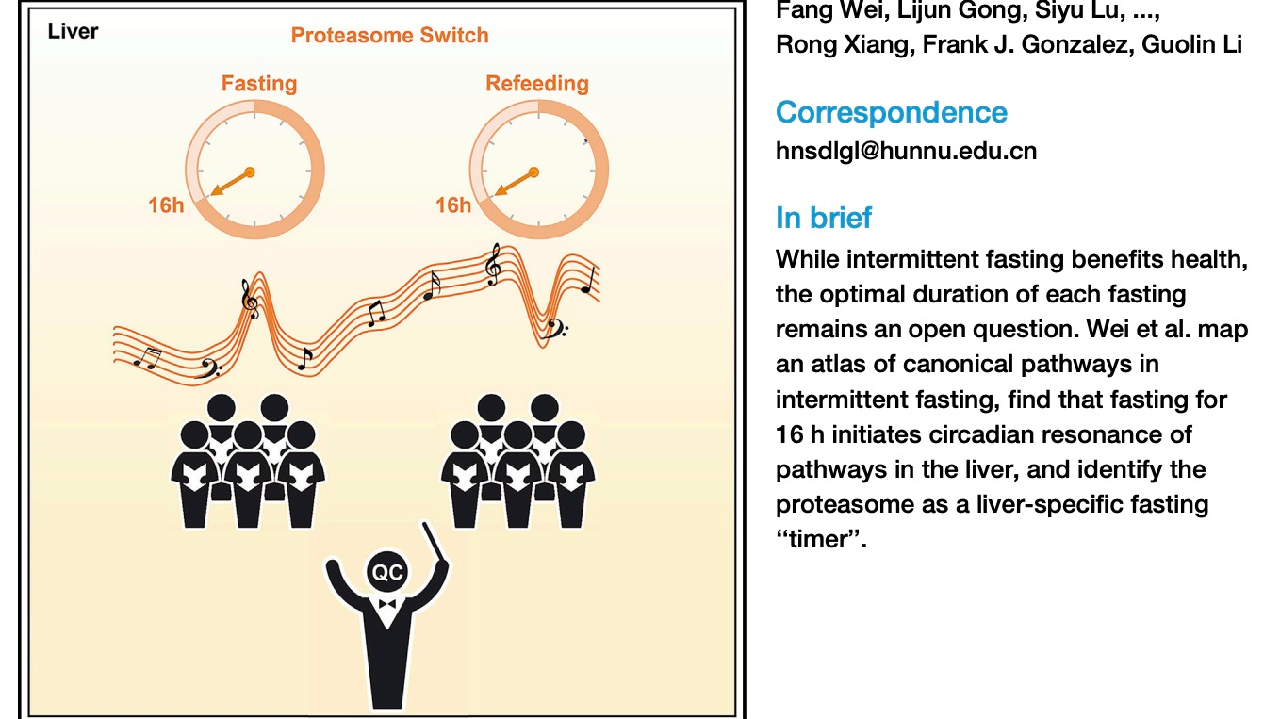 China study finds 16-hour intermittent fasting may benefit health most ...
