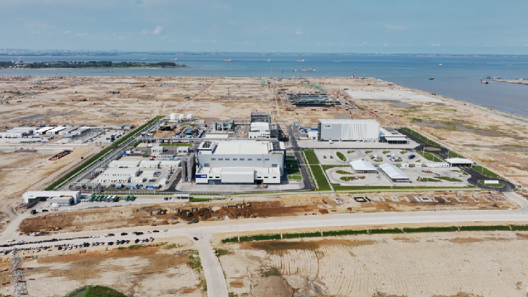 BASF's mega chemical site in China targets 100% renewable energy - CGTN