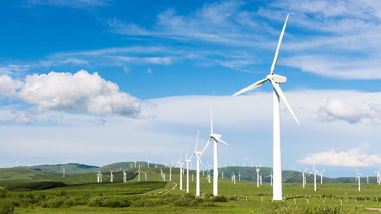 Wind produced as much energy as all other non-hydro renewable sources ...