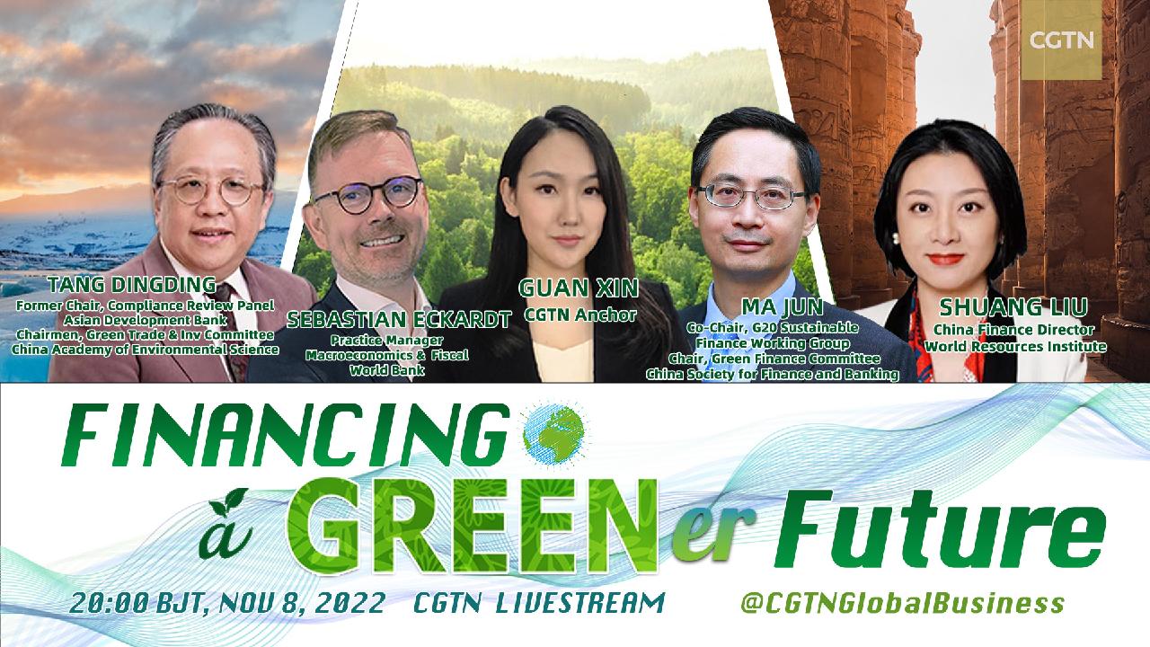Watch: How to finance a greener future - CGTN
