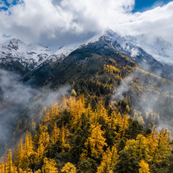 Snow-capped mountains atop golden forest in world's largest canyon - CGTN