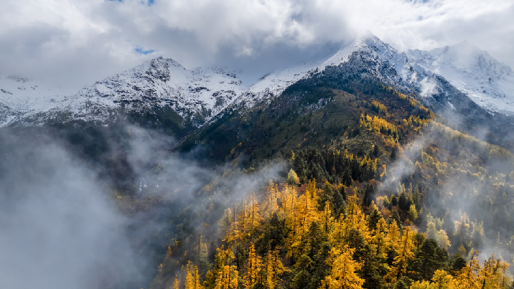 Snow-capped mountains atop golden forest in world's largest canyon - CGTN