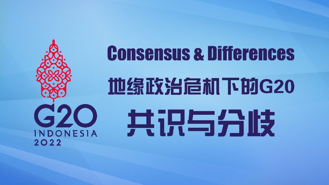 Live: G20 Summit – Consensus & Differences - CGTN