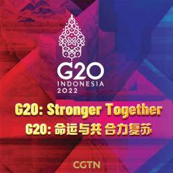 Live: G20 Summit – Stronger Together - CGTN