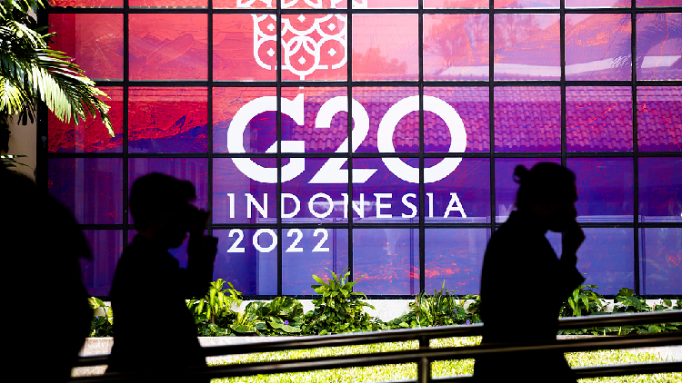 Live: Special coverage of G20 leaders' visit to mangrove forest - CGTN