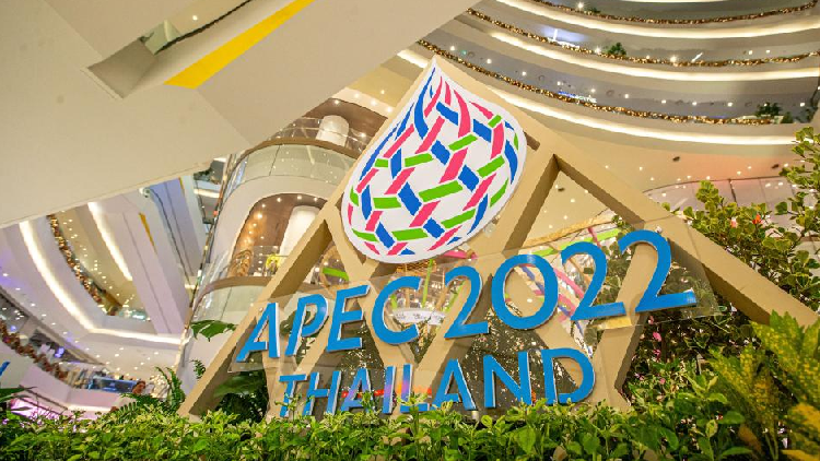 APEC meeting: China eyes open, inclusive development for Asia-Pacific ...