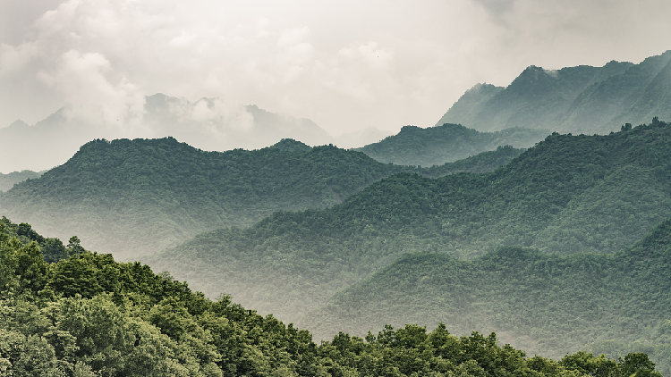 China establishes climate conservatory in Qinling Mountains - CGTN