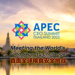 Watch: APEC meetings discuss path to recovery and growth - CGTN