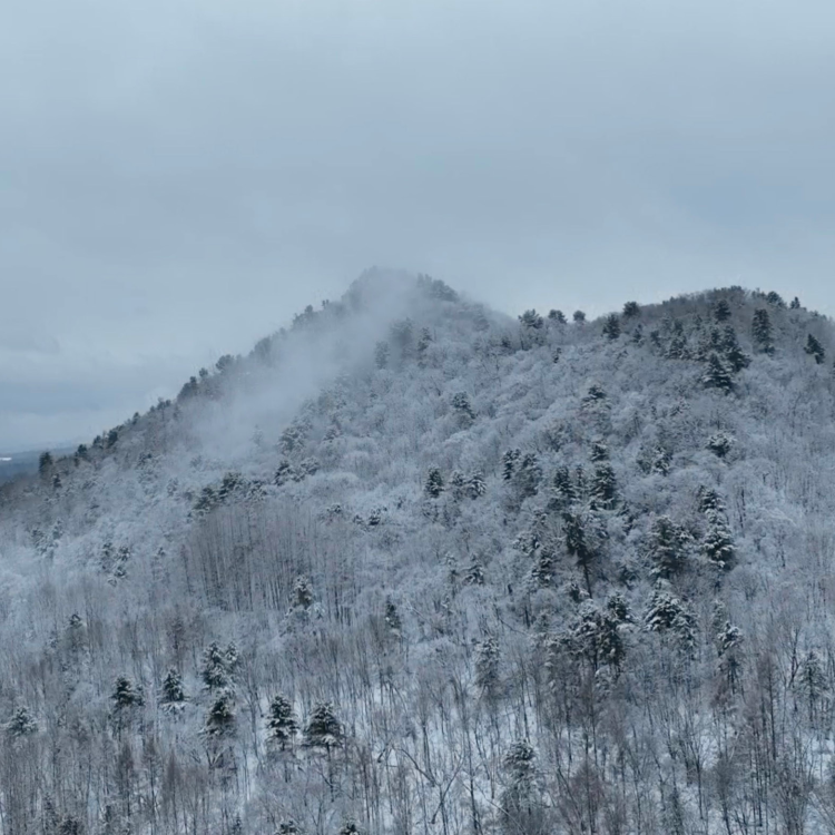 Enjoy stunning winter scenery of rime in N China - CGTN