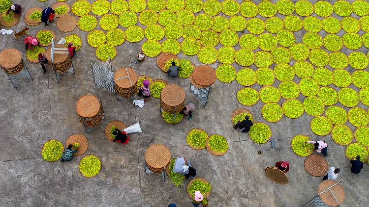 Chinese tea making joins UNESCO list - CGTN