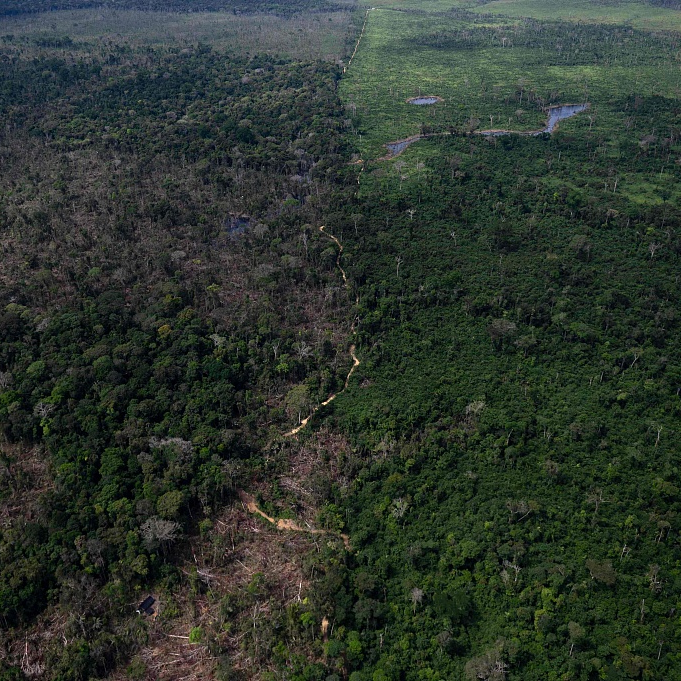 Amazon loses 10% of its vegetation in nearly four decades - CGTN