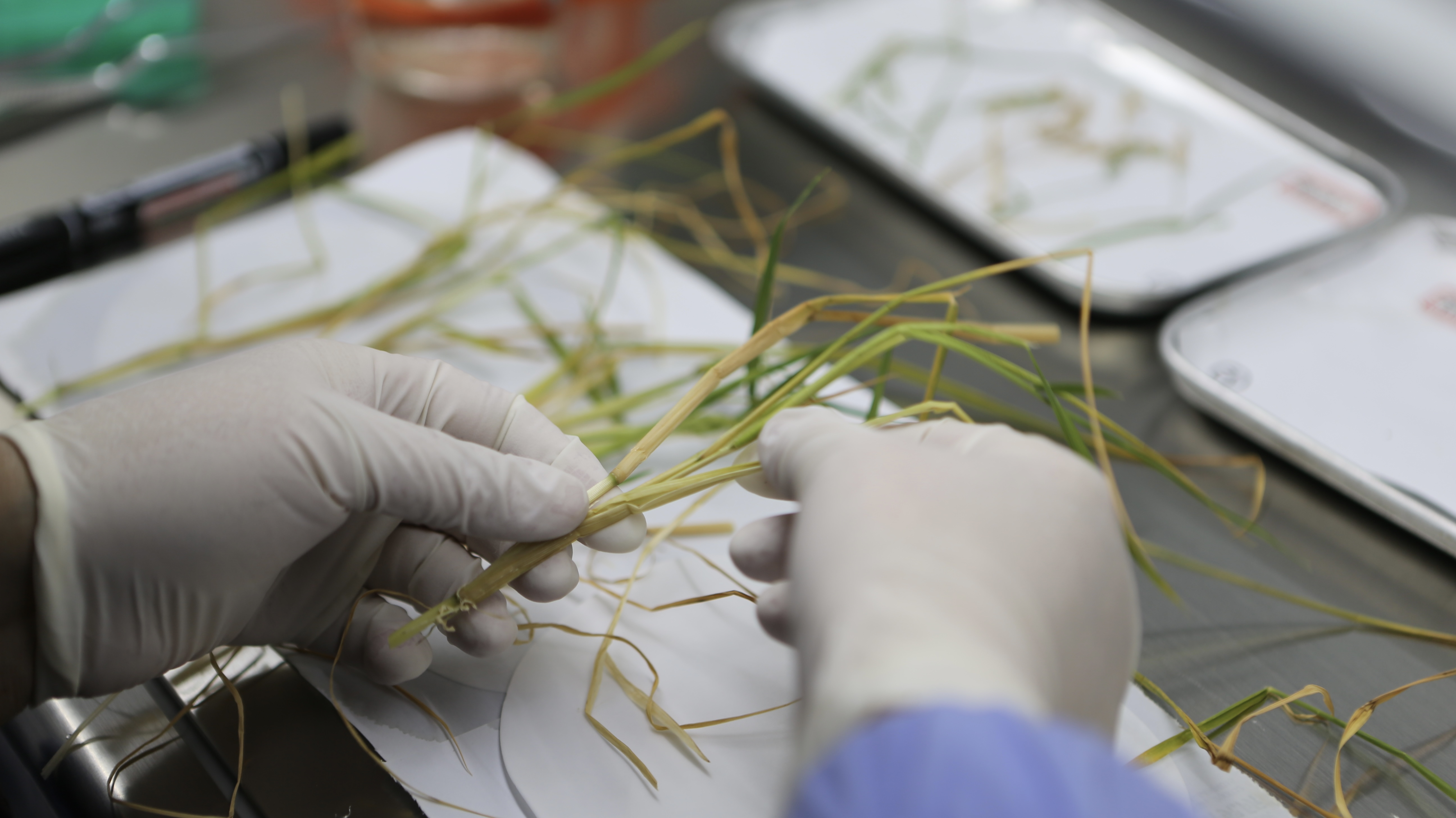 Shenzhou-14 spaceship brings back new science experiment samples - CGTN