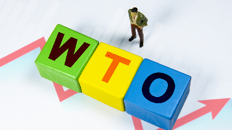 21 years in WTO: China stands by its commitments - CGTN