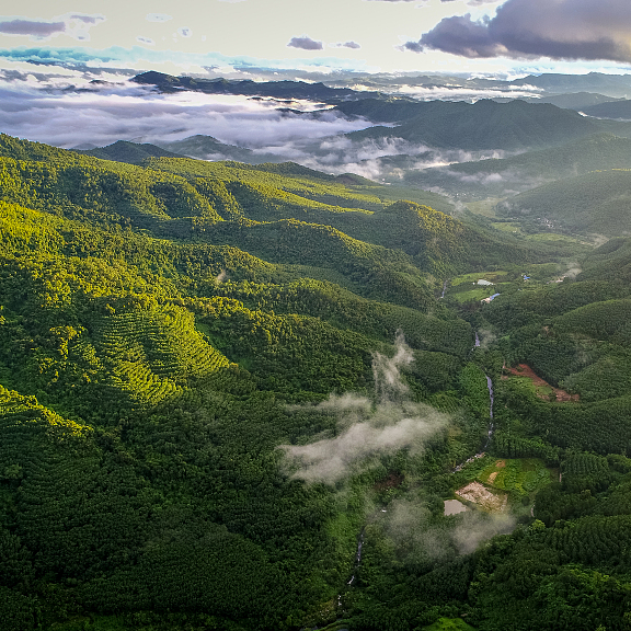 China is winning 'World Cup' for nature conservation: IUCN official - CGTN
