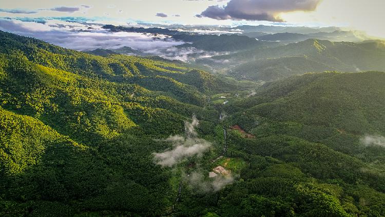 China is winning 'World Cup' for nature conservation: IUCN official - CGTN