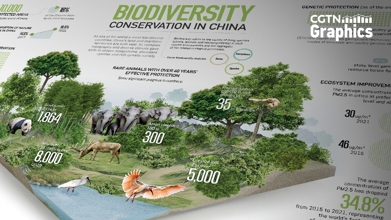 Graphics: China to implement biodiversity targets - CGTN