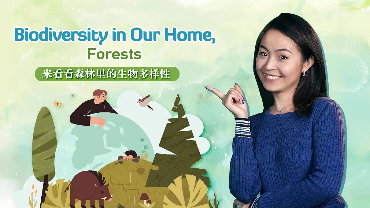 'Biodiversity in Our Home, Forests' - CGTN
