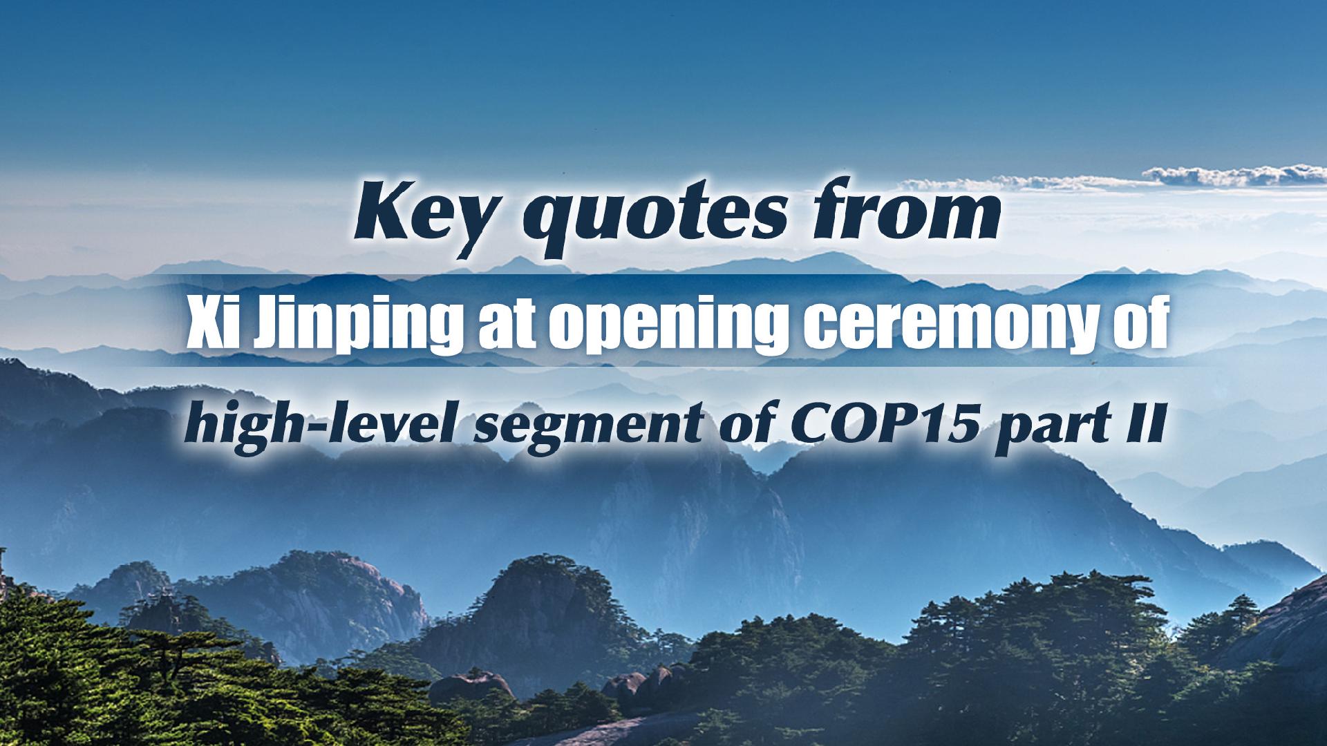 Key quotes from Xi Jinping at high-level segment of COP15 part 2 - CGTN