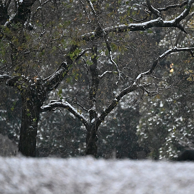 Cold wave in China continues to sweep southward - CGTN