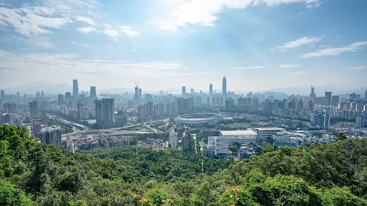 Wild water fern found in China's Shenzhen - CGTN