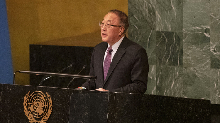 Development holds key to global security crisis: Chinese envoy - CGTN