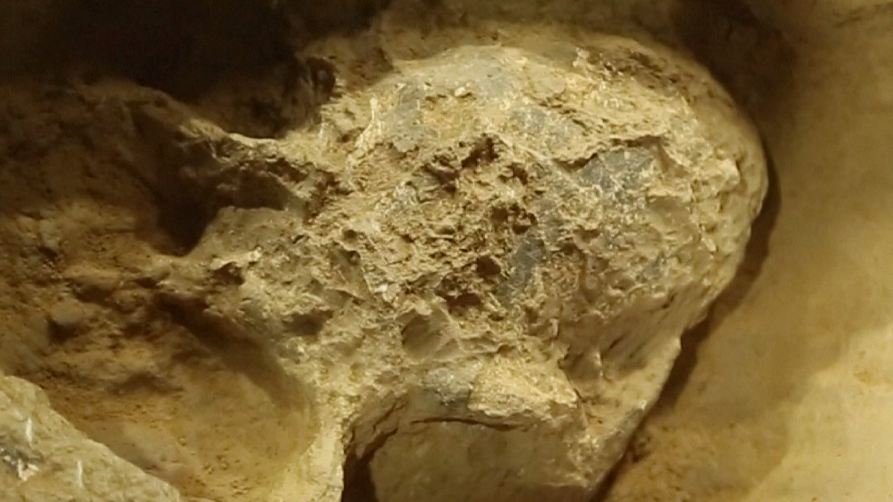 Million-year-old fossilized skull of Homo erectus excavated in China - CGTN