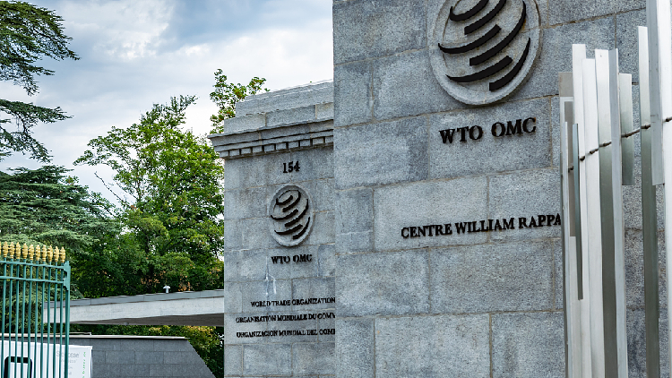 Why the WTO dispute on U.S. export restrictions matters? - CGTN