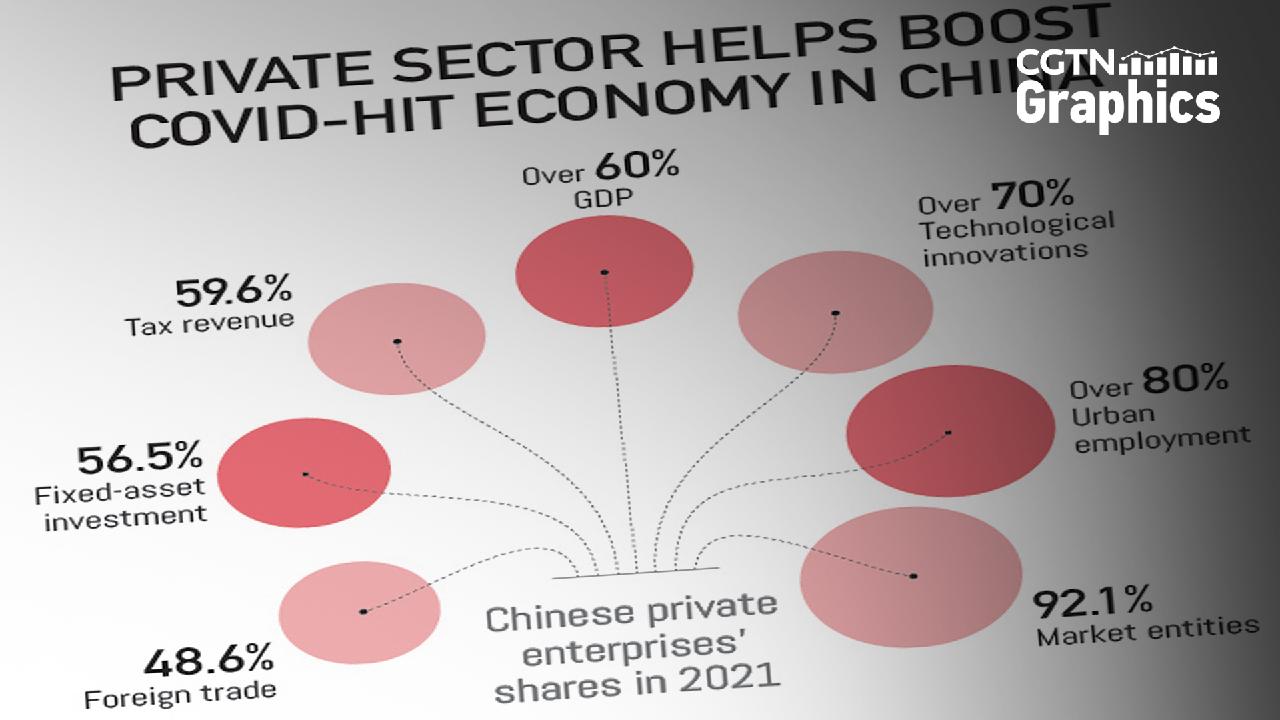 Graphics: Private sector helps boost COVID-19-hit economy in China - CGTN
