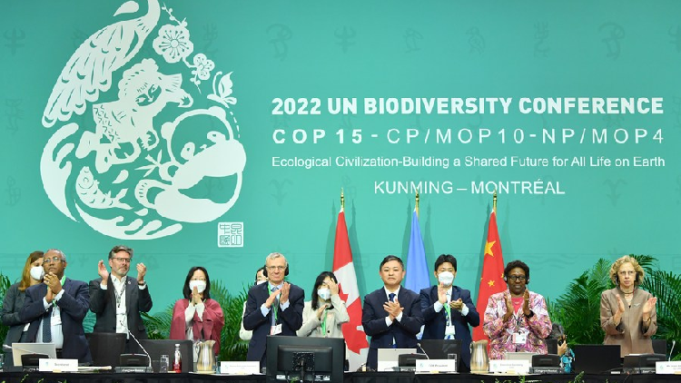 China takes action to set a course for global biodiversity protection ...