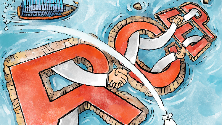 The RCEP approaches its first anniversary - CGTN