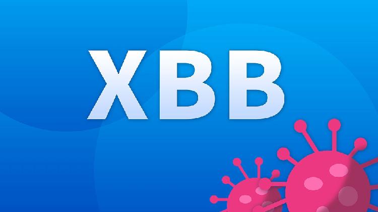 Large-scale XBB sub-variant epidemic unlikely in short run: China CDC ...