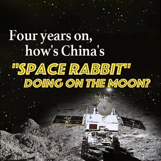 Four years on, how's China's 'space rabbit' doing on the moon? - CGTN