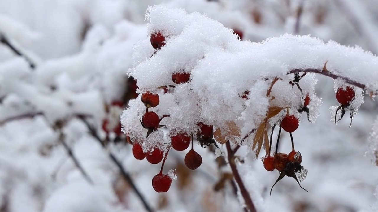 Spectacular winter sight captured in NW China's Xinjiang - CGTN
