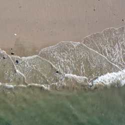 Beibu Gulf Series | Episode 7: Sea and land - CGTN