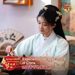 Spring Festival Special: Experience the tea culture of China - CGTN