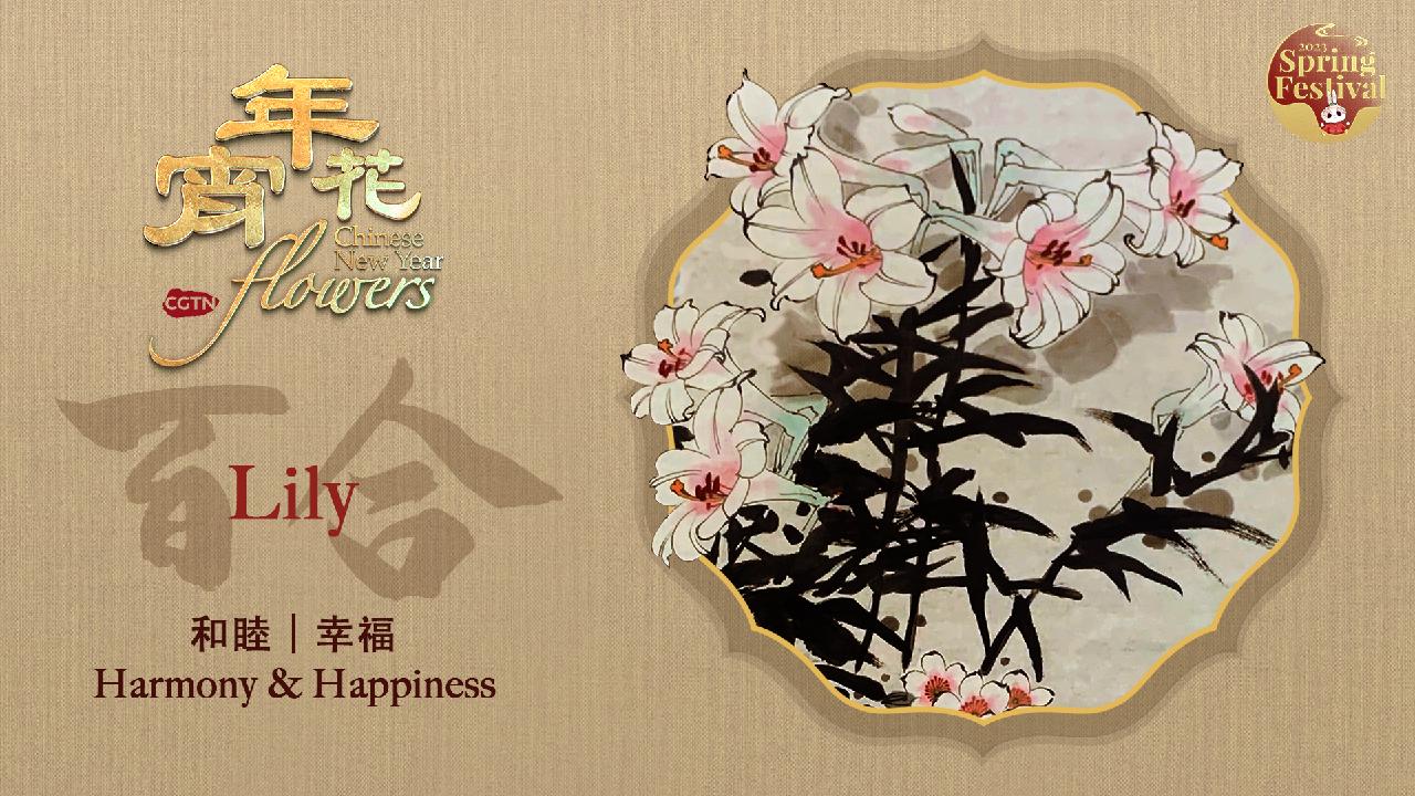 Chinese New Year Flowers: Lily - CGTN