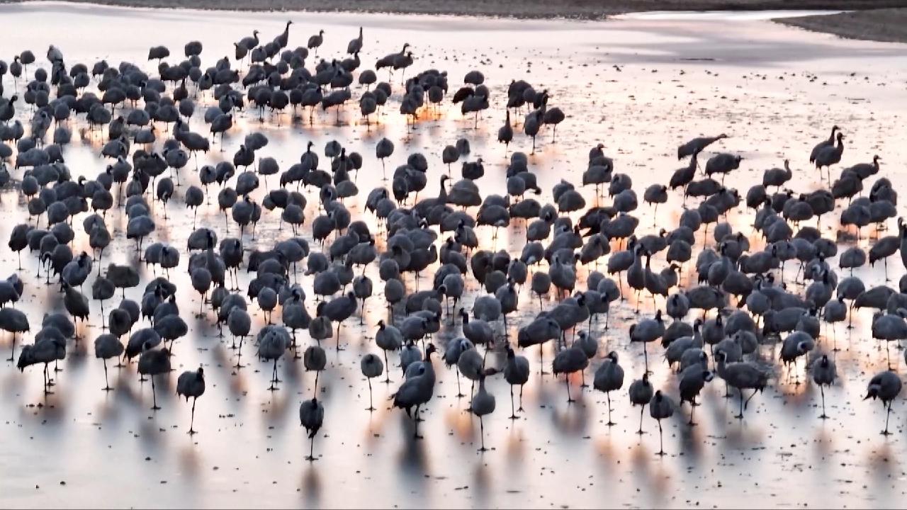 China has most complete wetland types in world - CGTN