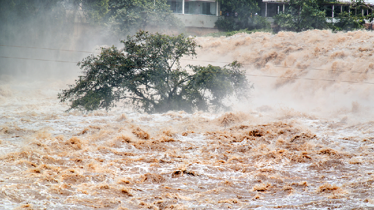 China's weather 'more dry and warm' in 2022: official report - CGTN