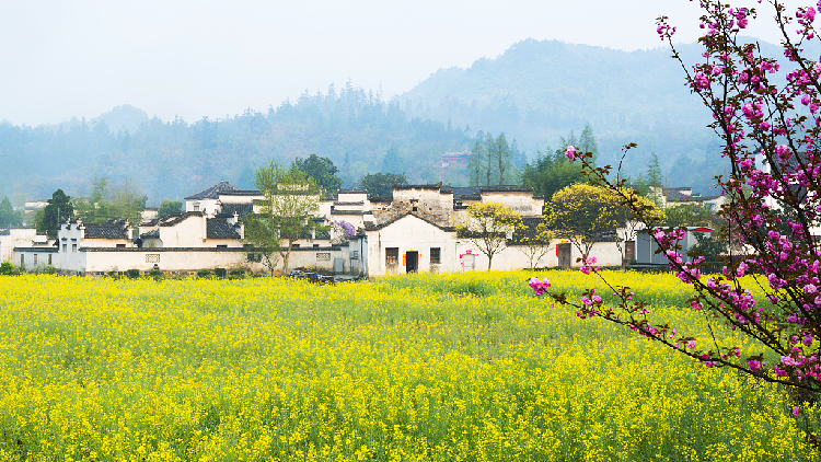 Ancient Xidi Village a picture of pastoral perfection - CGTN