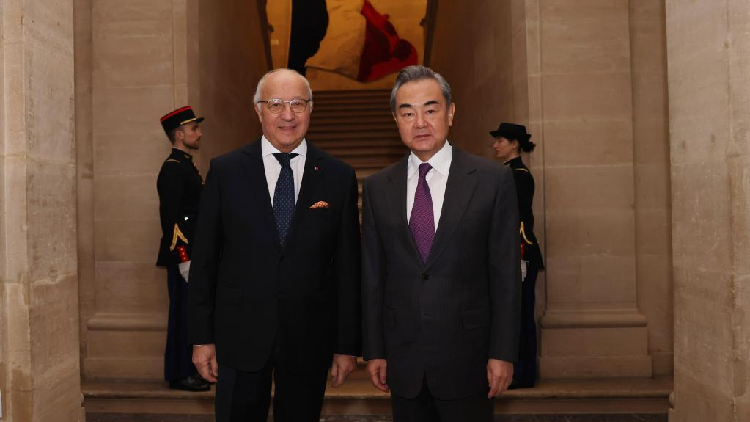 Wang Yi calls for closer China-France coordination - CGTN