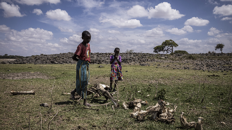 Kenya says 6 million people food insecure amid prolonged dry spell - CGTN