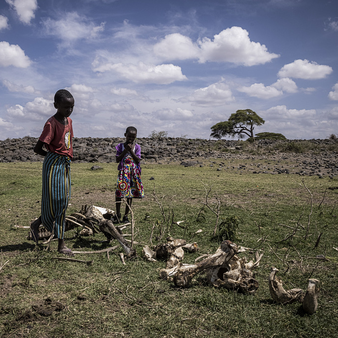 Kenya says 6 million people food insecure amid prolonged dry spell - CGTN